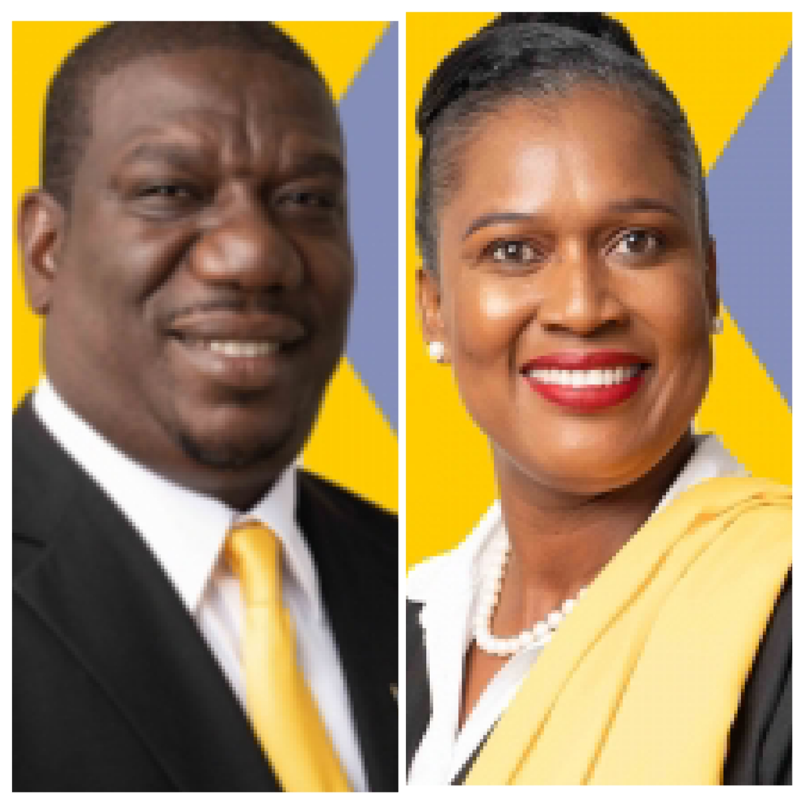 Shevern John, Israel Bruce to be appointed NDP senators - Asberth News ...