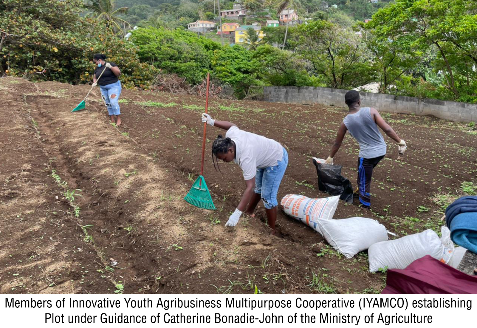 Youth Agri-entrepreneurship for Rural Development ProjectProduct ...