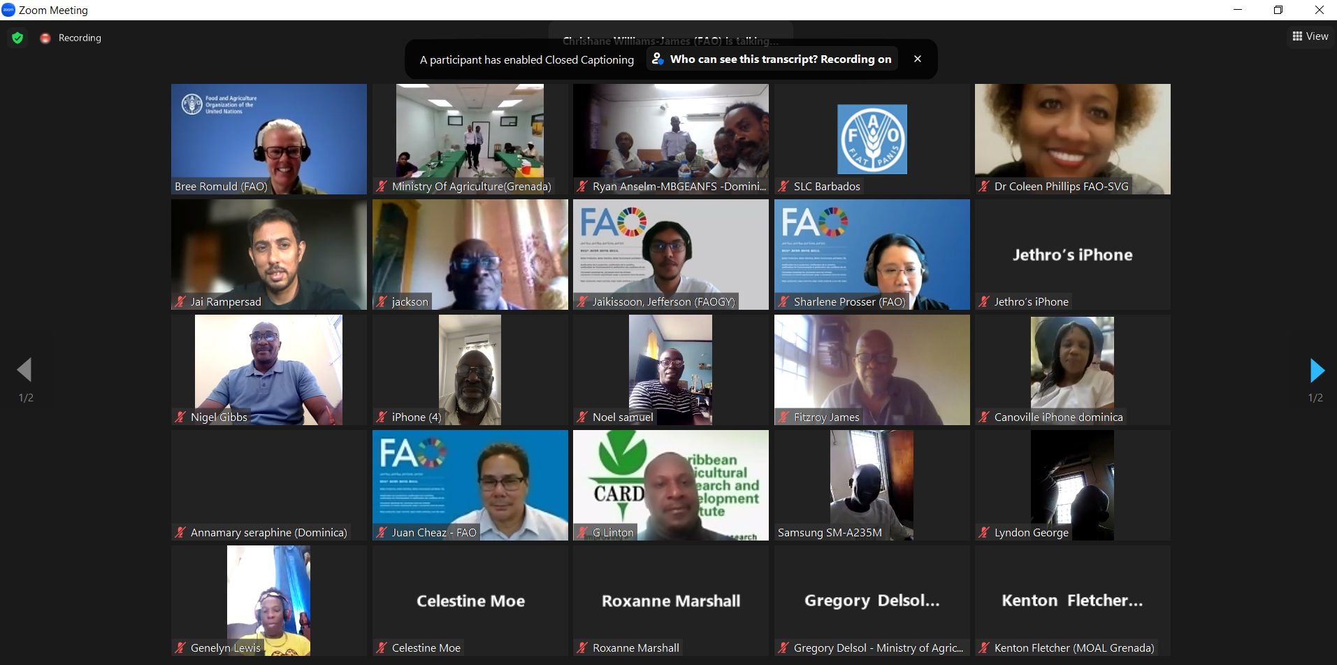 Dominica, Grenada and St Vincent and the Grenadines chart a course for their dasheen value chain ...