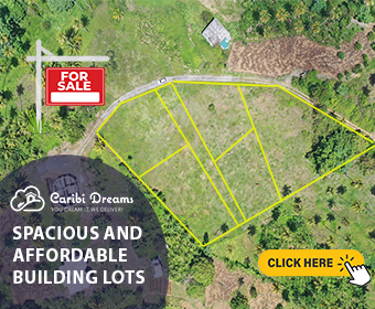 KOSCAB Holdings to Acquire Saint Vincent Brewery Limited in Strategic ...