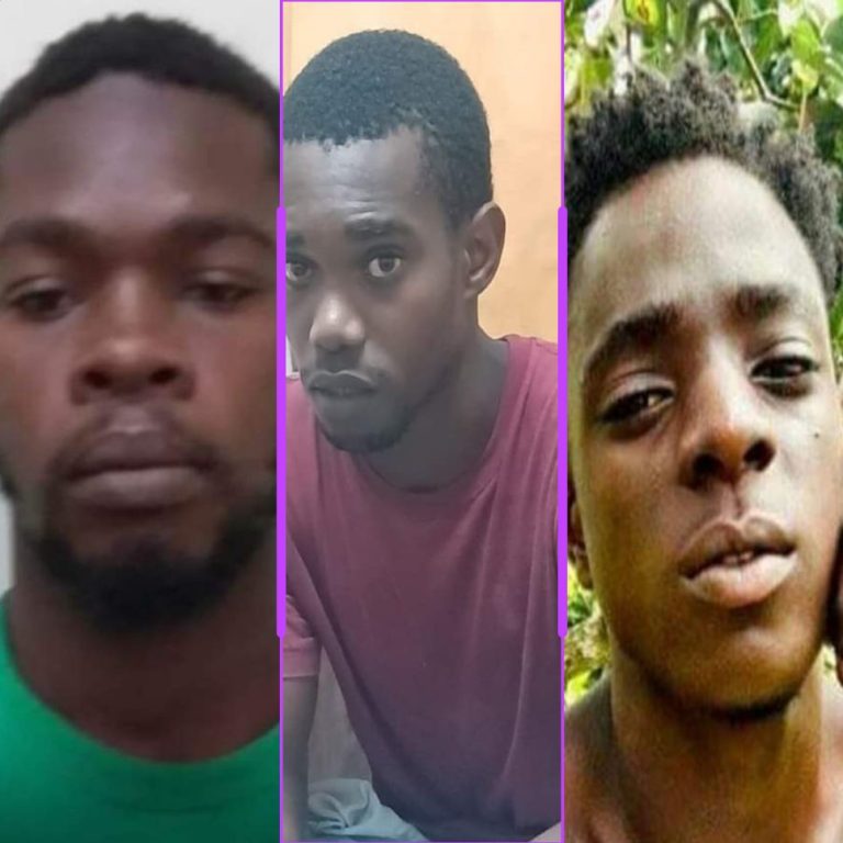Grenadians caught in SVG subject to murder investigation - Asberth News ...