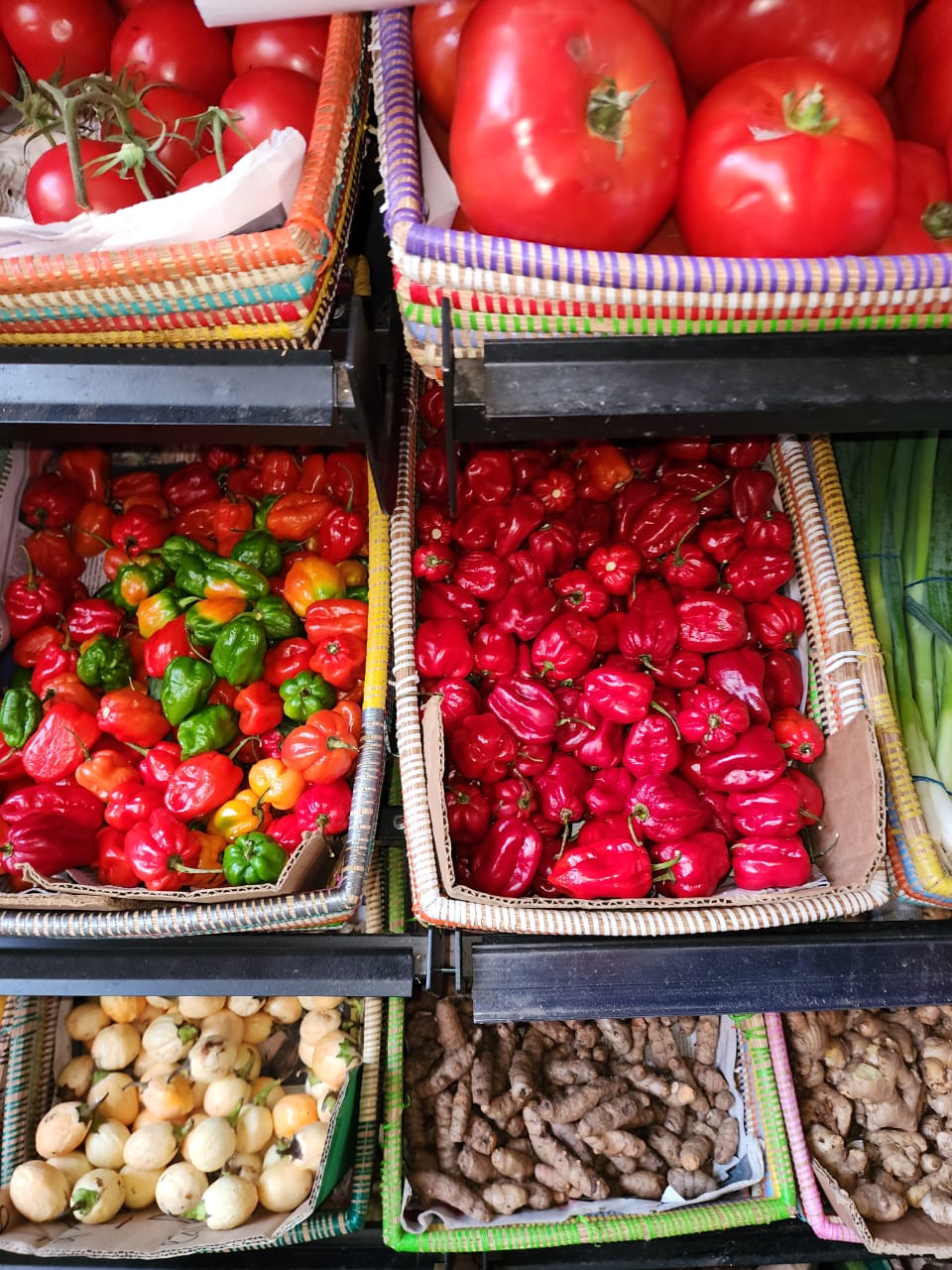 Revamping hot pepper production in St Vincent and the Grenadines ...