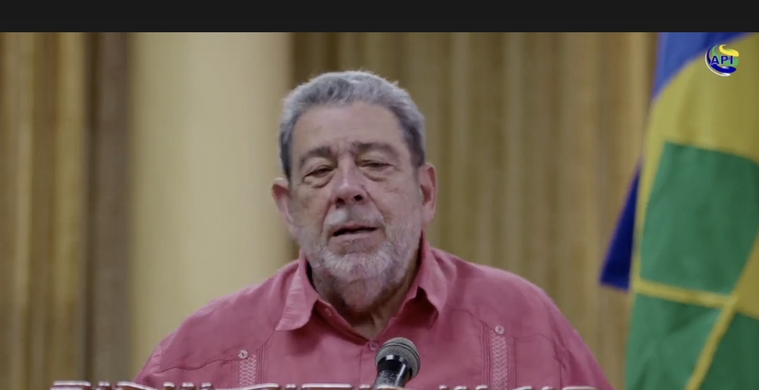 Launch Volunteerism and Engagement (GYVE) Project of the Greater Youth ...