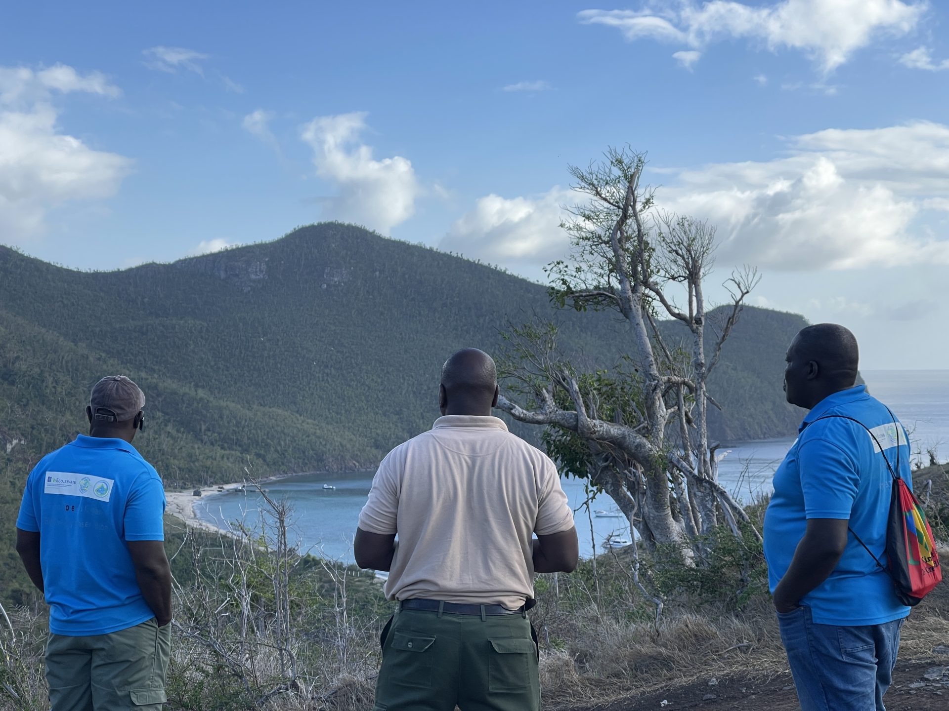 Forestry Department and GEF - UNDP Ridge to Reef Tackle Fire Recovery ...