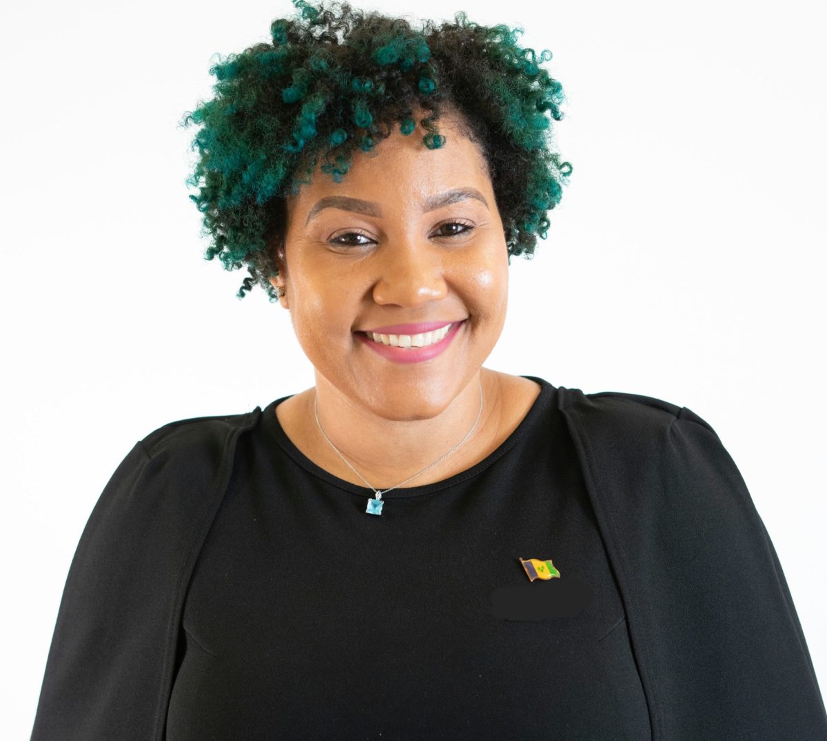 Politics And Politricks: Political Debates in a Caribbean Election ...